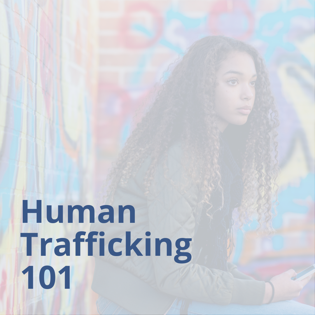Human Trafficking 101 - Araminta